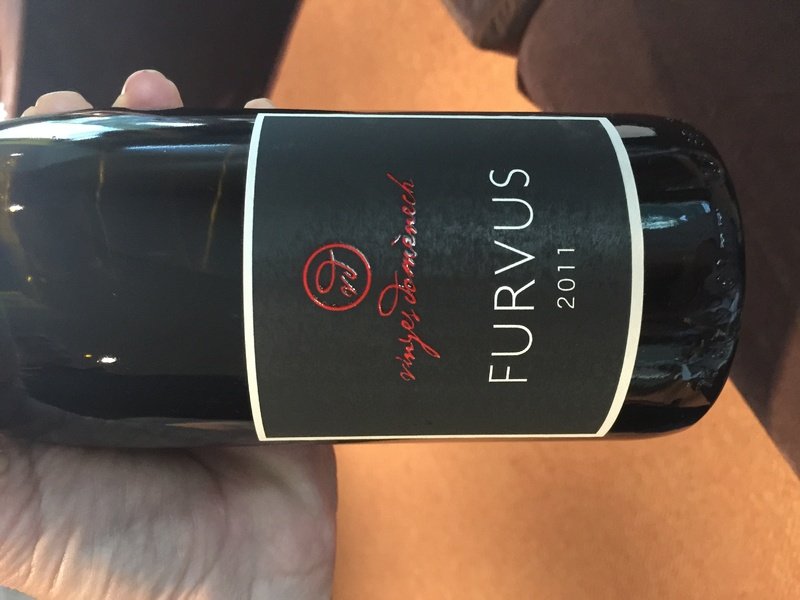 Vinyes Domènech Catalunya, Mon Sant, Spain | Your personal wine ...