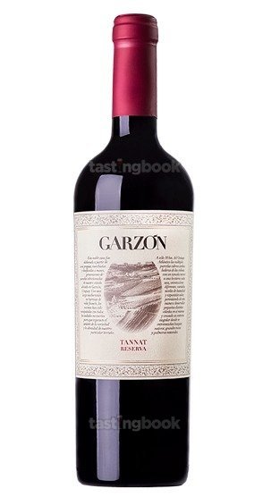Garzón Single Vineyard Tannat 2017 Bodega Garzón | Your personal wine ...