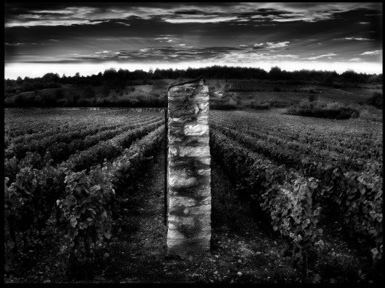 Domaine Guy Roulot Burgundy, Meursault, France | Your personal wine ...