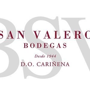 Bodegas San Valero Aragonia, Cariñena, Spain | Your personal wine ...